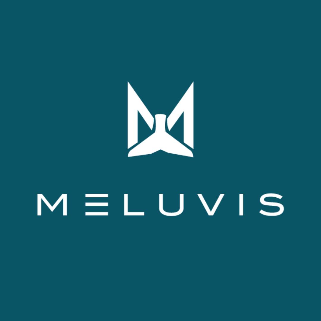 MELUVIS - AN ADVANCED 3D PLATFORM